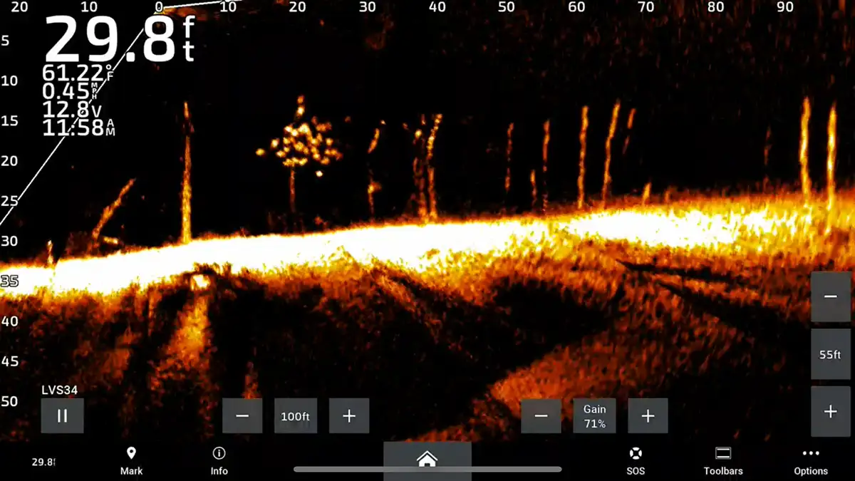 FFS The Good The Bad The Ok - Reel North Outdoors