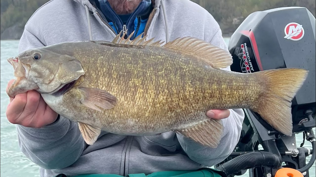 Figuring out Fall Smallouth - Reel North Outdoors